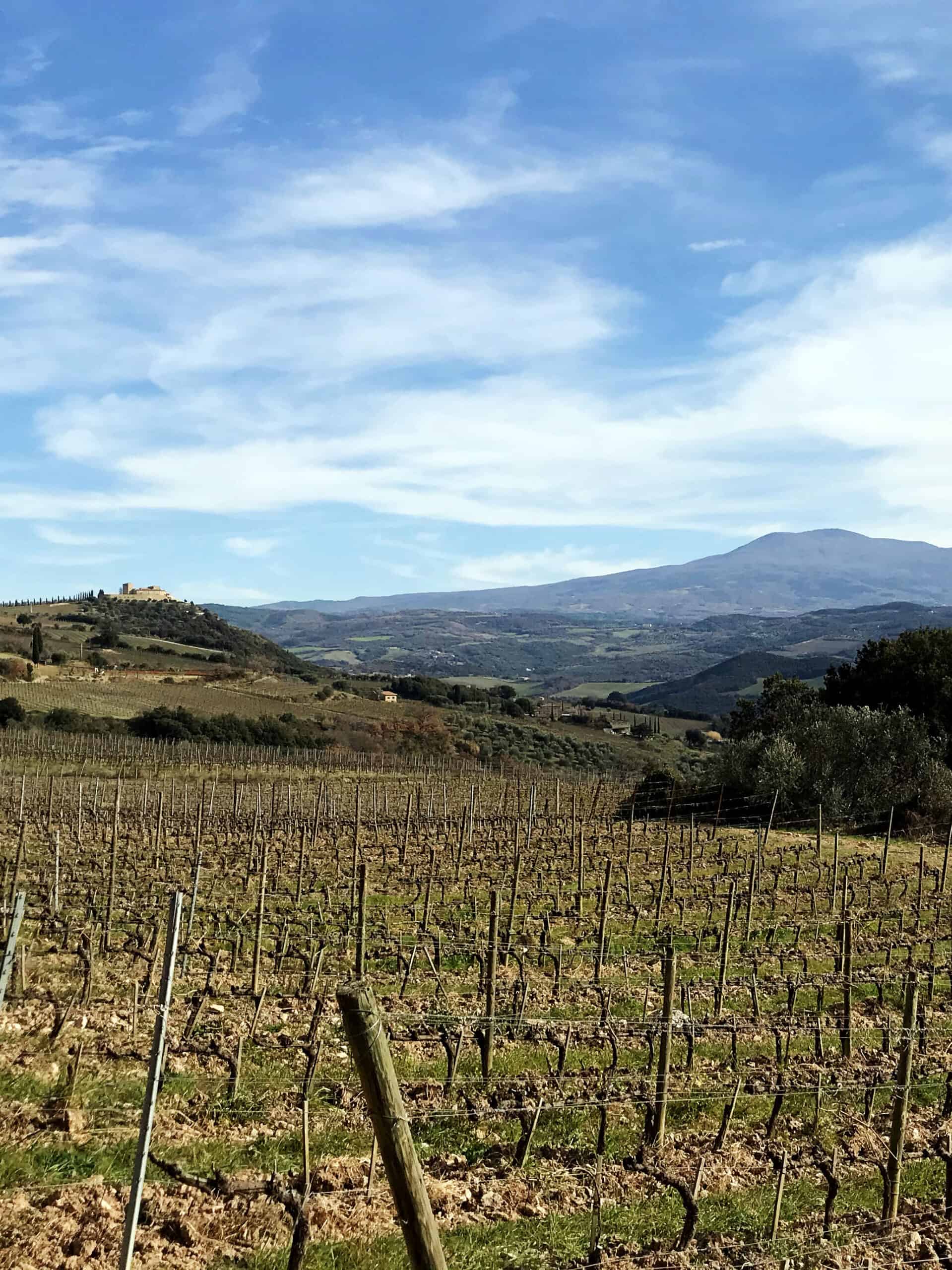 Brunello di Montalcino - Montalcino Wine Tours